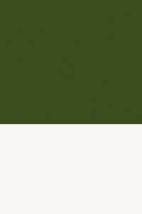 15+ Idea Padanan Warna Hijau Lumut yang Harmonis - LiterasiPintar